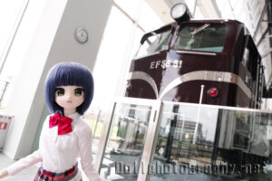 伊豆急行線にも馴染みのあるE655系電車 – JNR-GO.JP